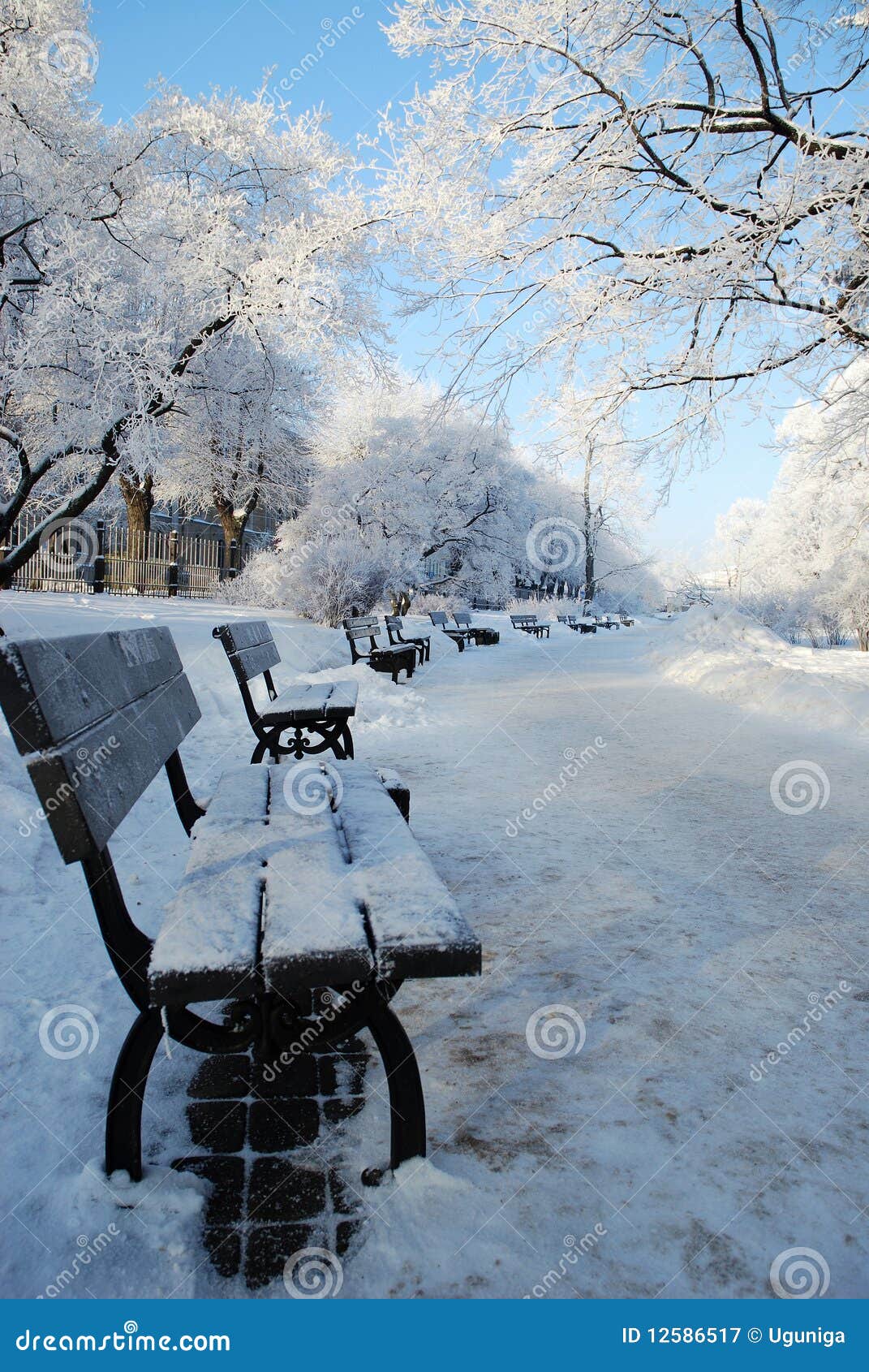 Park in winter stock image. Image of christmas, frost - 12586517