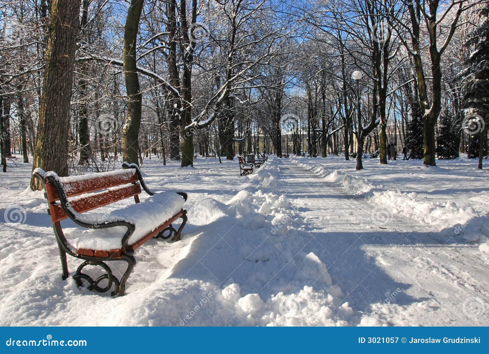 Park in winter stock image. Image of january, february - 3021057