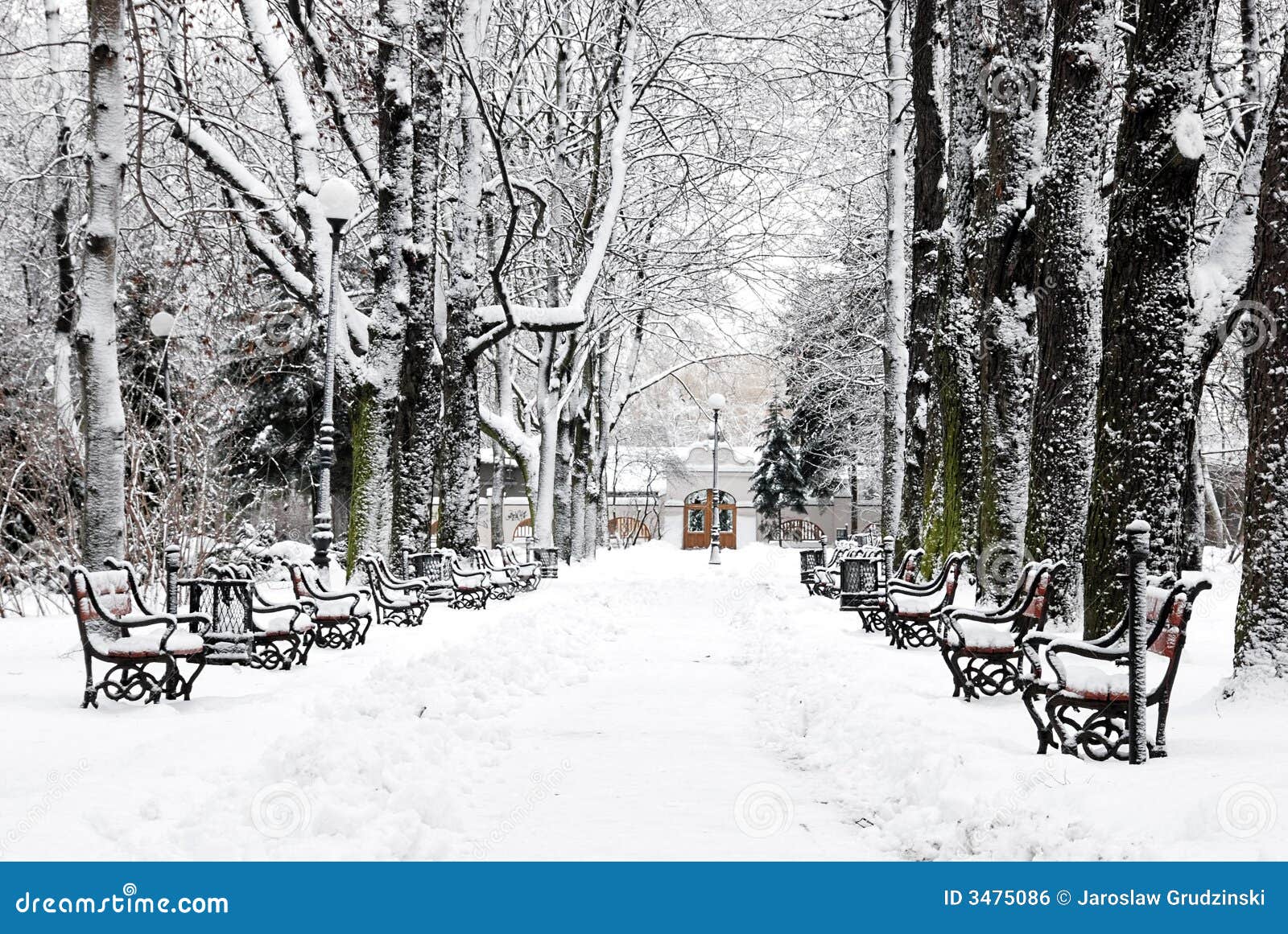 Park in winter stock photo. Image of quiet, beautiful - 3475086