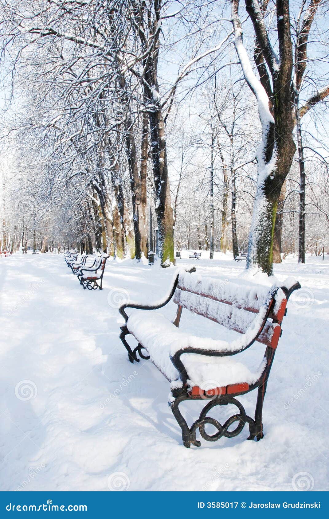 Park in winter stock image. Image of february, mystical - 3585017