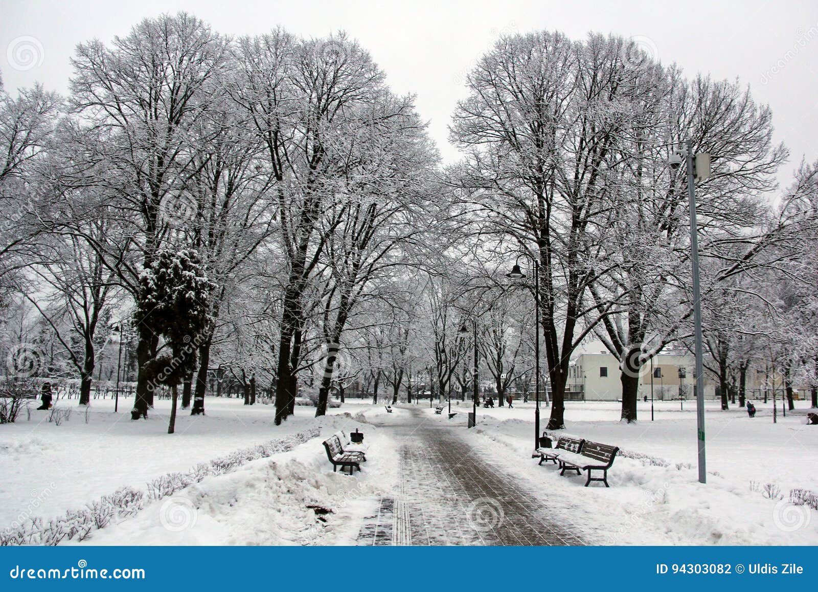 Park in winter stock photo. Image of cold, scene, nature - 94303082