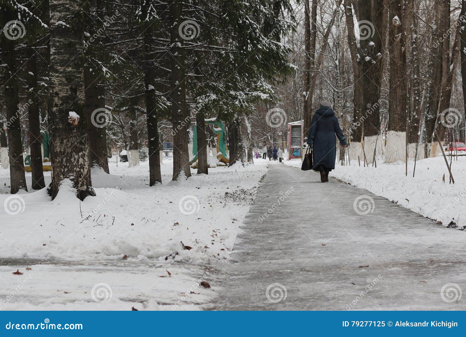 Park winter trees and path stock image. Image of rural - 79277125