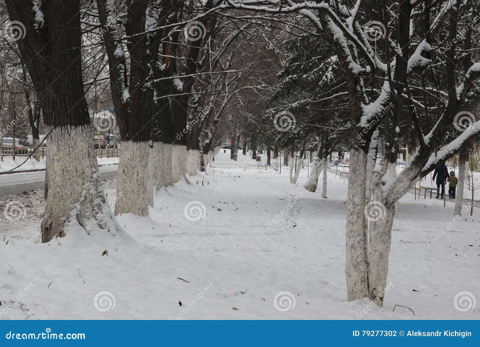 Park winter trees and path stock photo. Image of landscape - 79277302