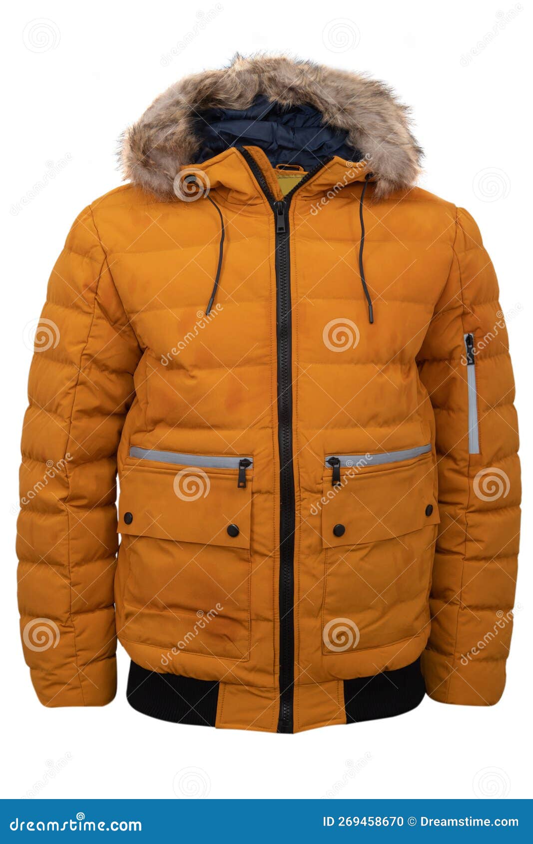 Parka stock photo. Image of lined, white, clothes, isolated - 269458670