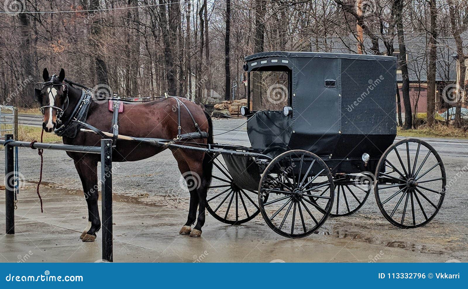 Parked Amish Horse and Buggy Stock Photo - Image of parked, black ... Parked Amish Horse and Buggy Stock Photo - Image of parked, black ...