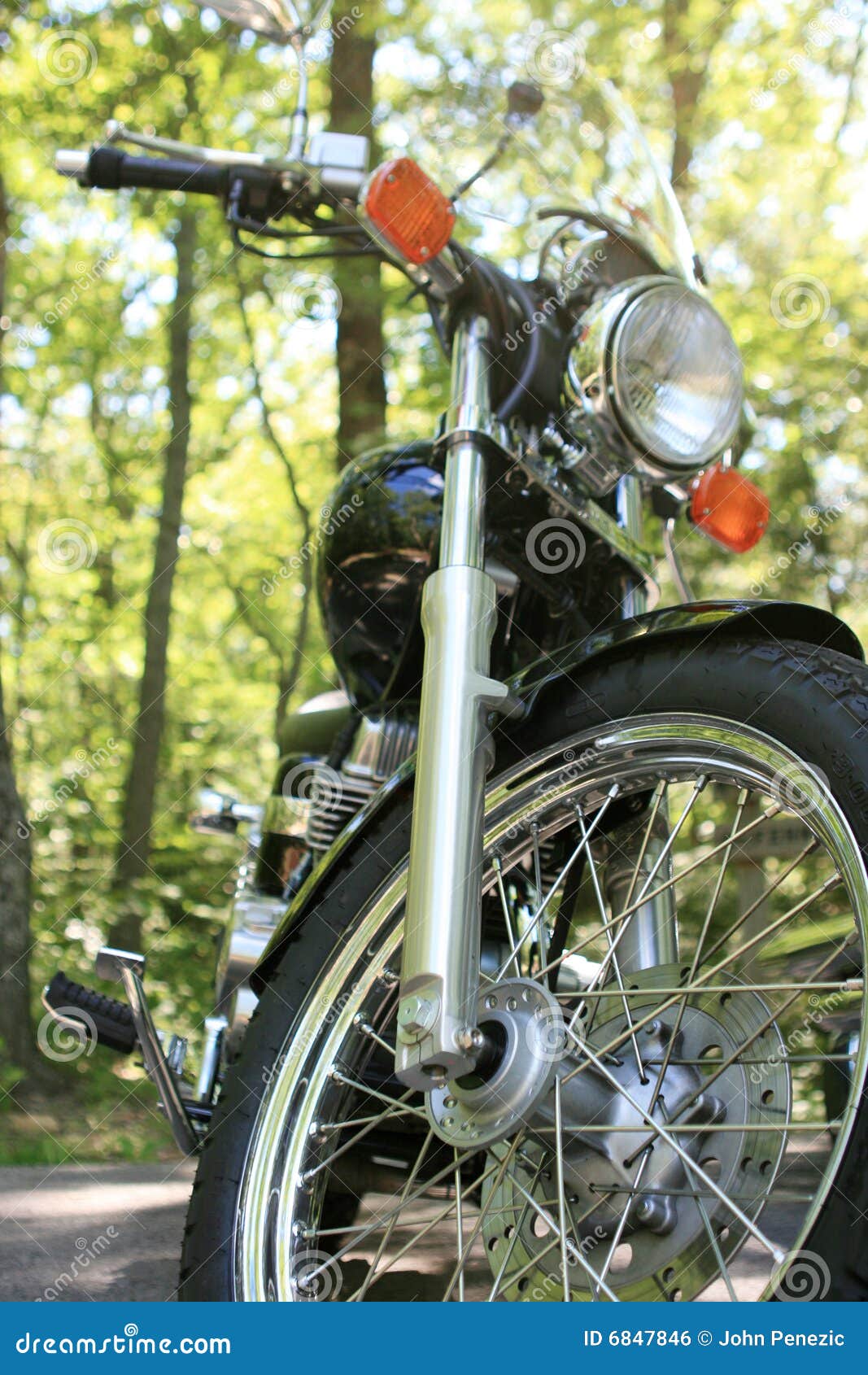 Parked motorcycle in trees stock photo. Image of spoke - 6847846