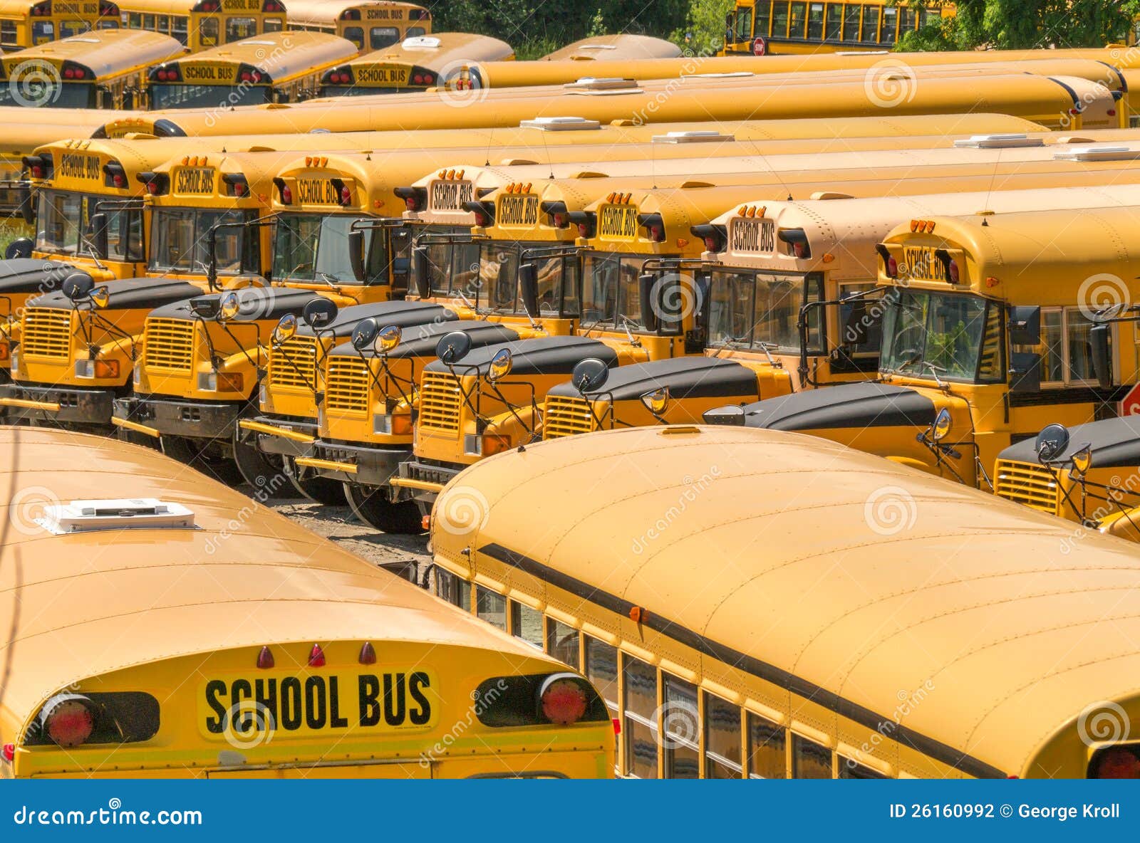 Parked School bus - Buses stock photo. Image of multiple - 26160992
