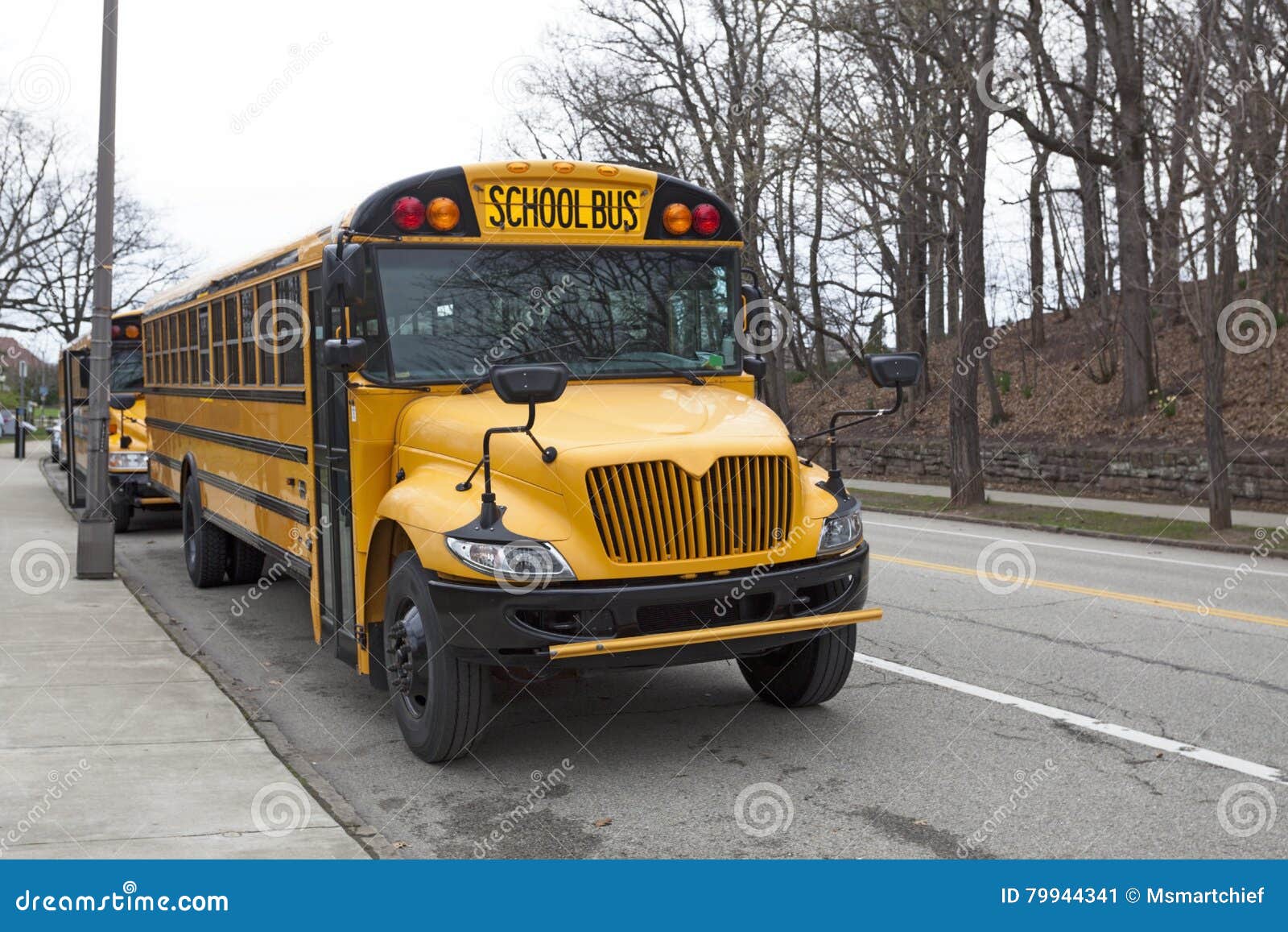 Parked School Bus stock image. Image of school, street - 79944341