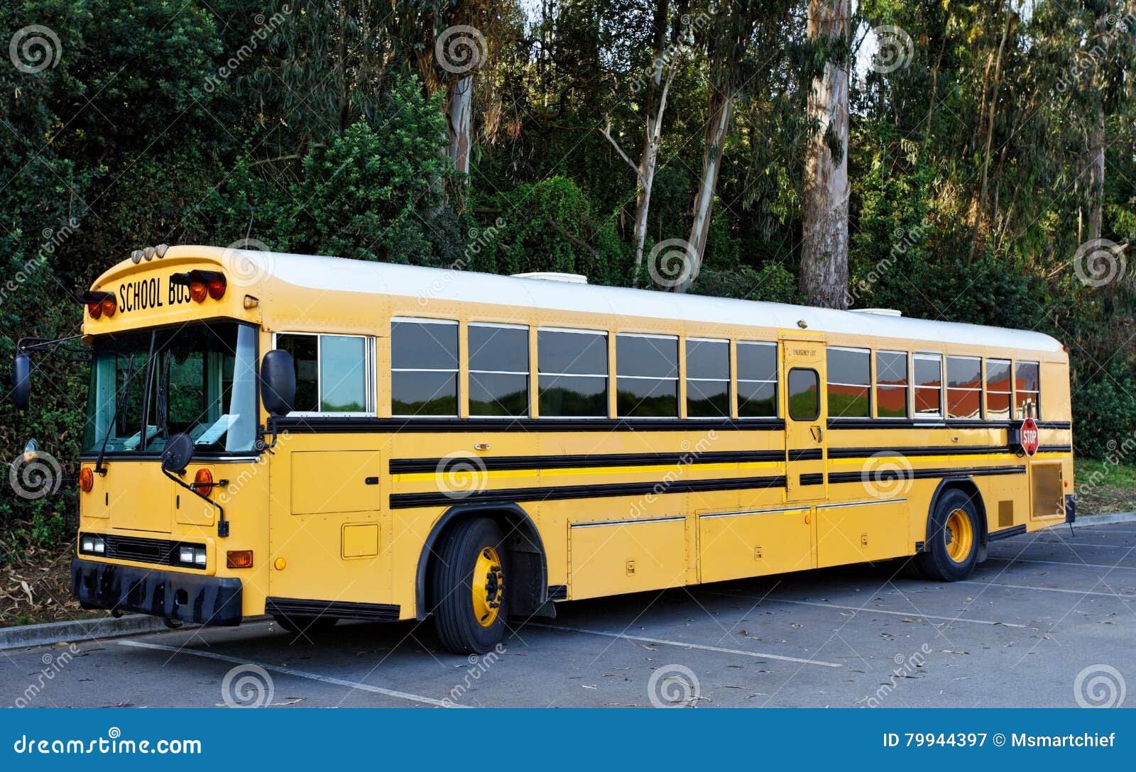 Parked School Bus stock image. Image of public, yellow - 79944397