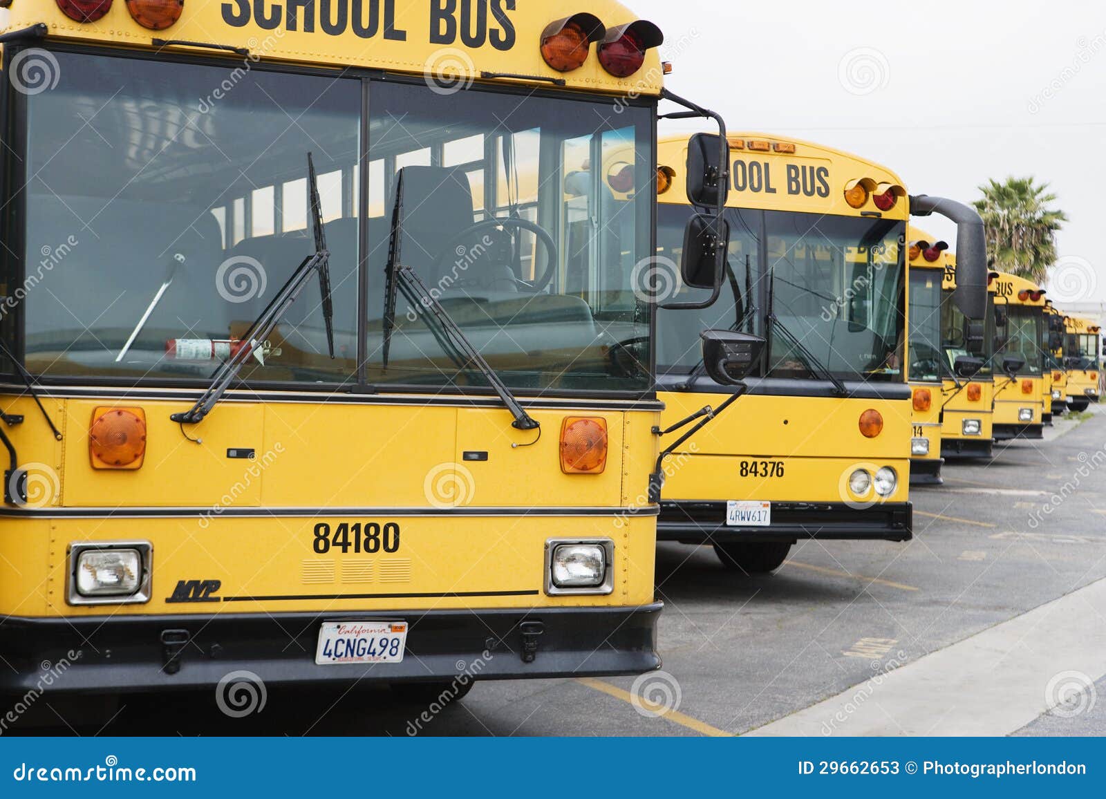 Parked School Buses editorial stock photo. Image of outside - 29662653