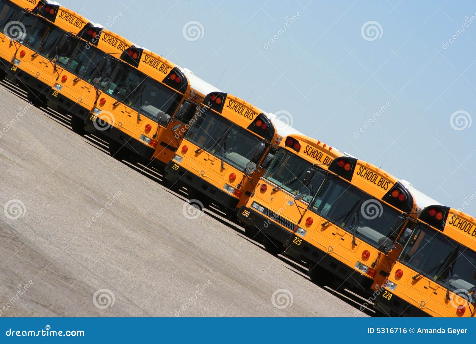 Parked school buses stock photo. Image of education, pupil - 5316716