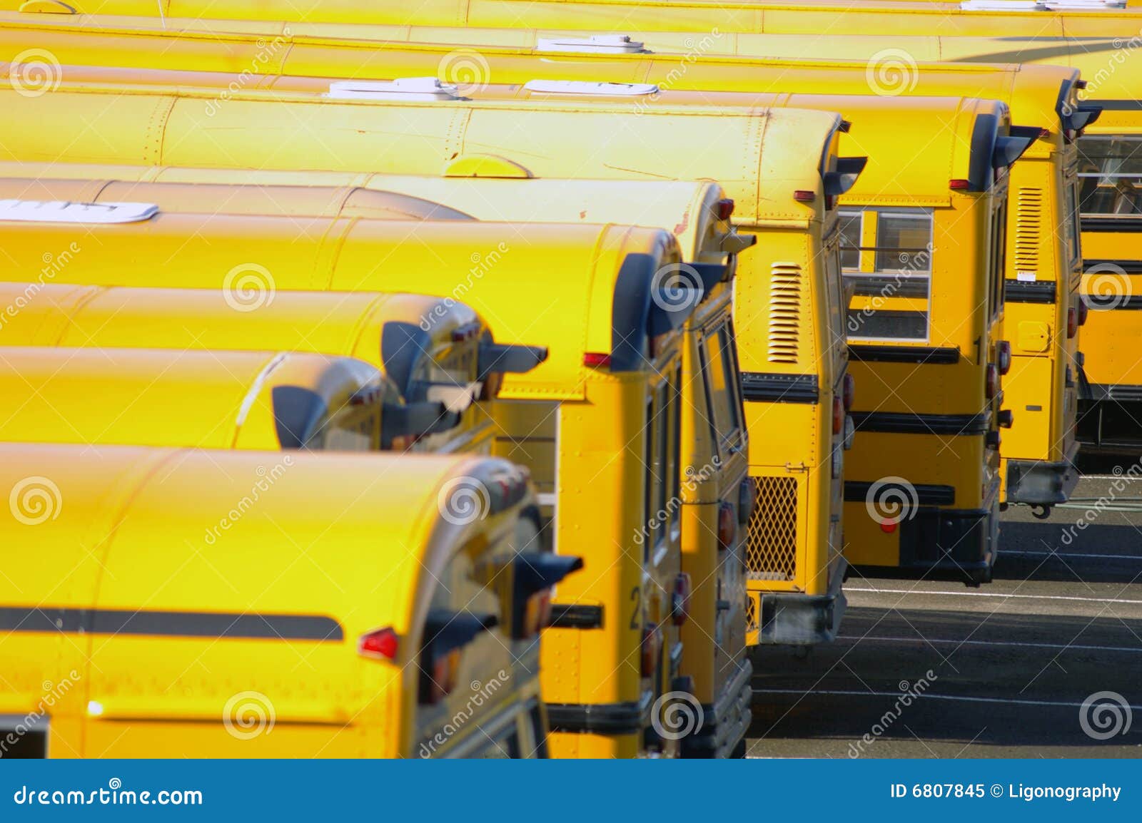 Parked School Buses Picture. Image: 6807845
