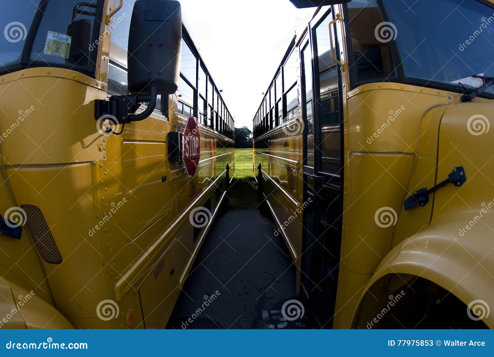 Parked School Buses stock image. Image of public, educate - 77975853