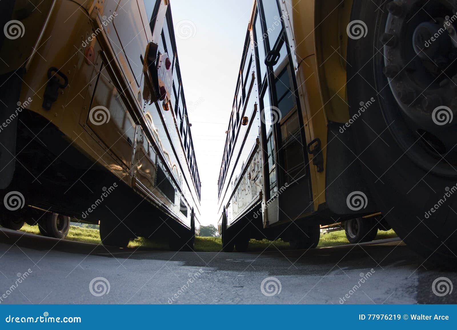 Parked School Buses stock image. Image of city, automobile - 77976219