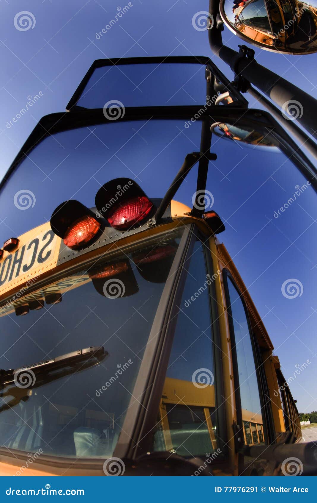 Parked School Buses stock image. Image of coed, road - 77976291