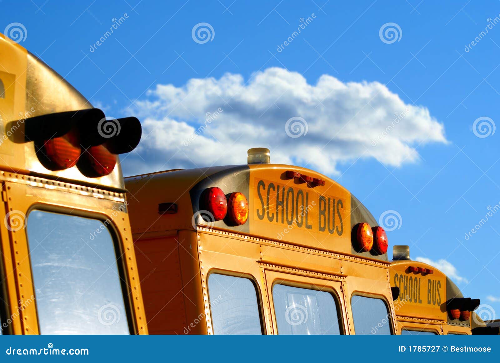 Parked school busses stock image. Image of clouds, transportation - 1785727