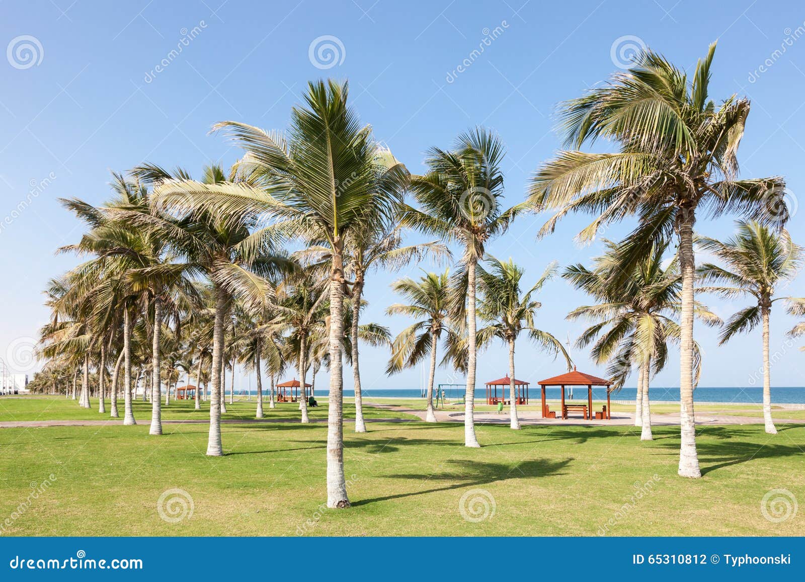 Parken Sie am Corniche in Seeb, Oman Stockfoto - Bild von arabien, golf ...