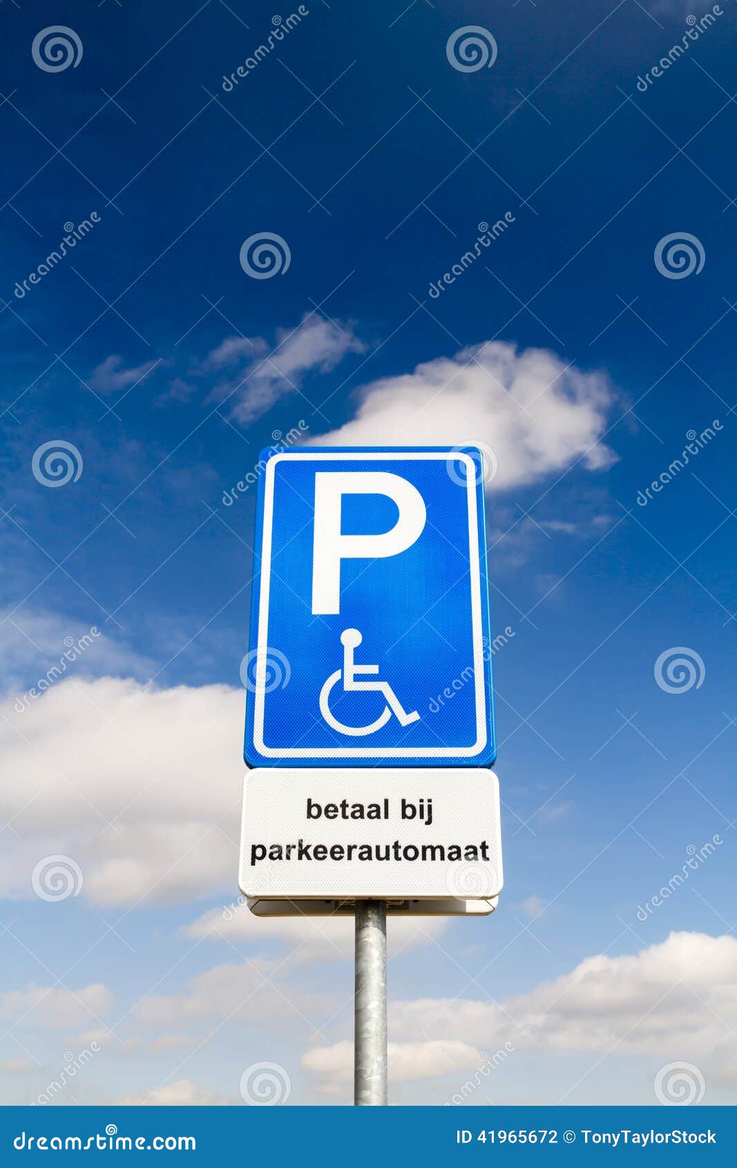 Parkenzeichen Für Behinderte Stockfoto - Bild von ikone, holland: 41965672