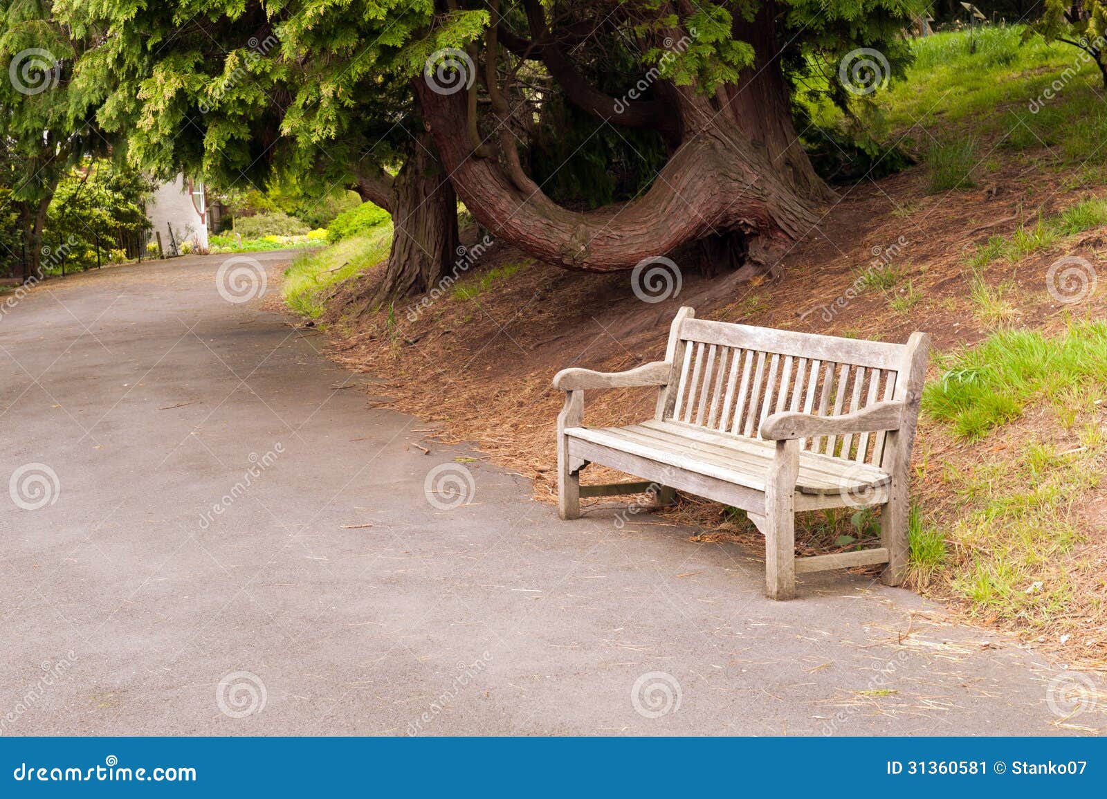 Parkgasse und -bank stockbild. Bild von gasse, vertraut - 31360581