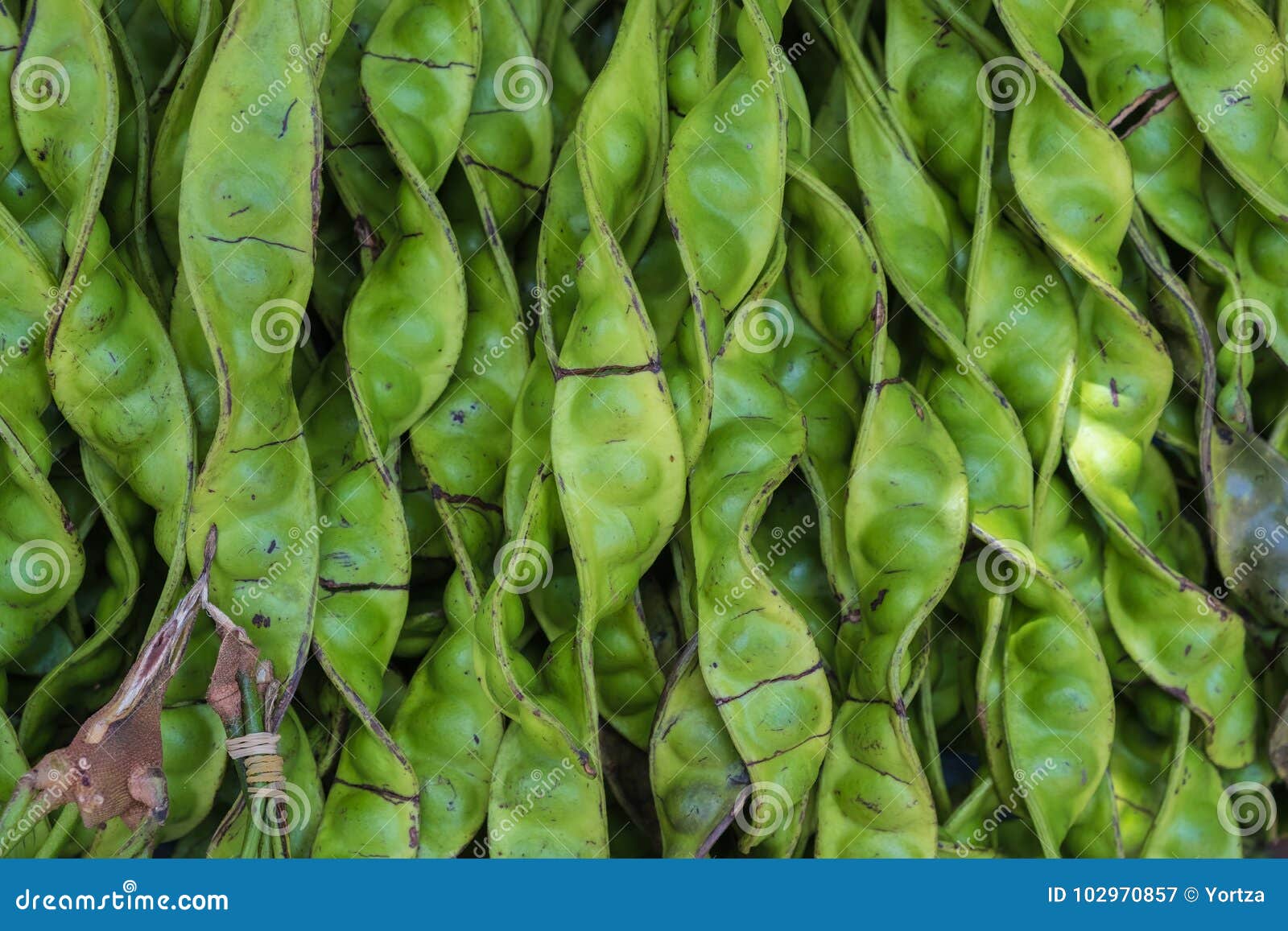 Greeb Thai Stock Photos - Free & Royalty-Free Stock Photos from Dreamstime