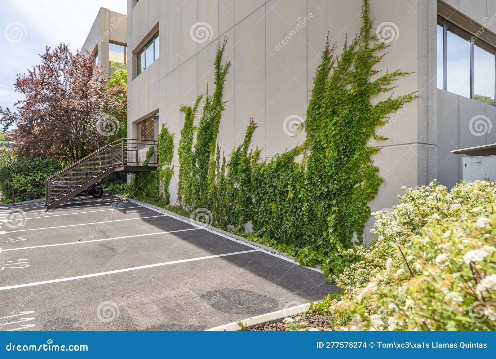 Parking Area of an Office Building with a Facade Covered Stock Photo ...