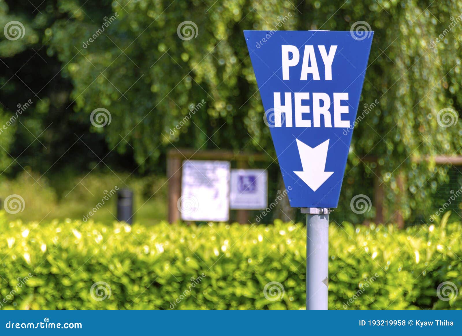 Parking Charge Pay Here Blue Sign Post in Green Environment Stock Photo ...