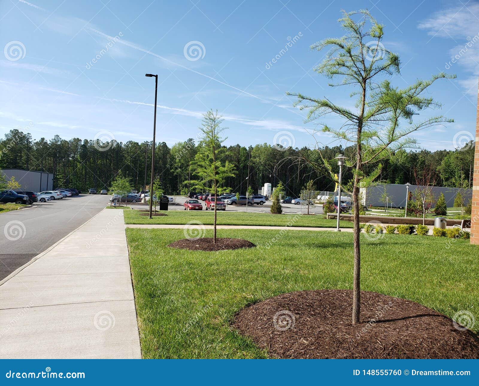 Parking stock photo. Image of green, good, tree, parking - 148555760