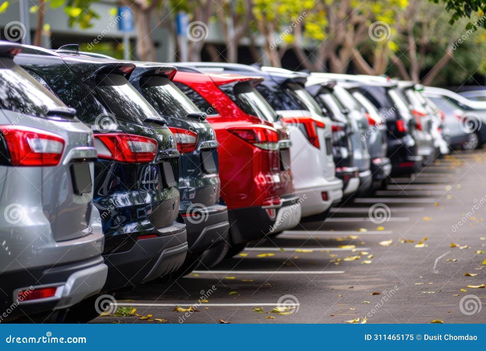A Parking Lot with Many Cars and a Tree in the Middle. Stock Image ...