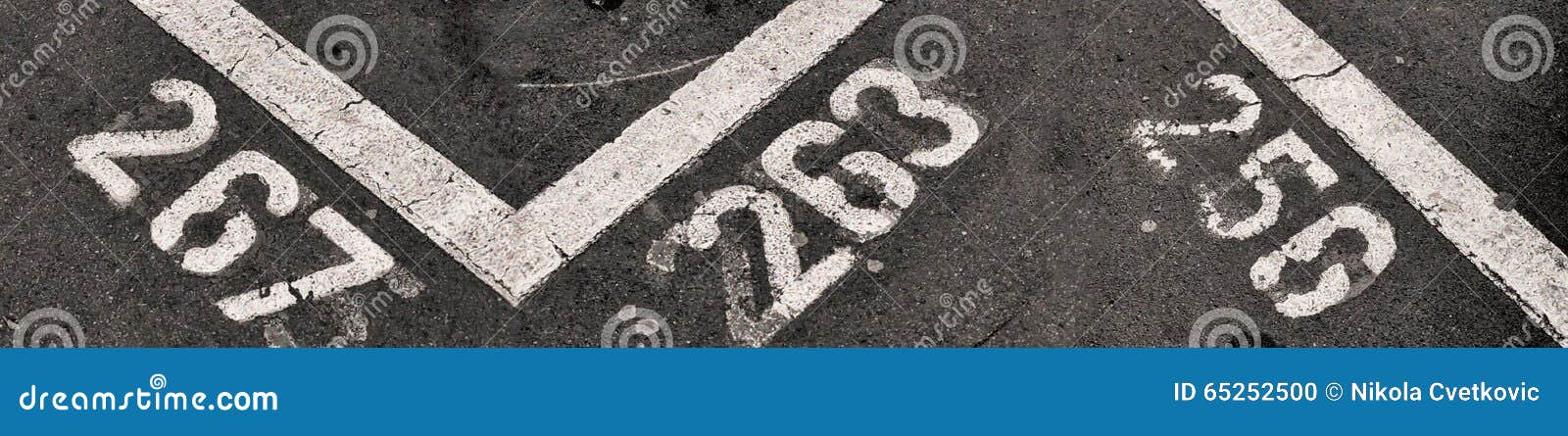 Parking Numbers On A Parking Lot Floor. Free Space Available, Park ...