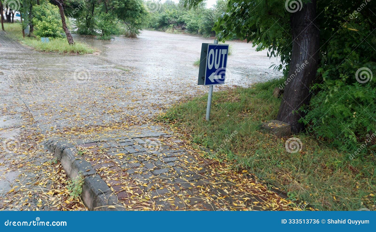 Parking Out Sign after Rain Stock Photo - Image of sign, autumn: 333513736
