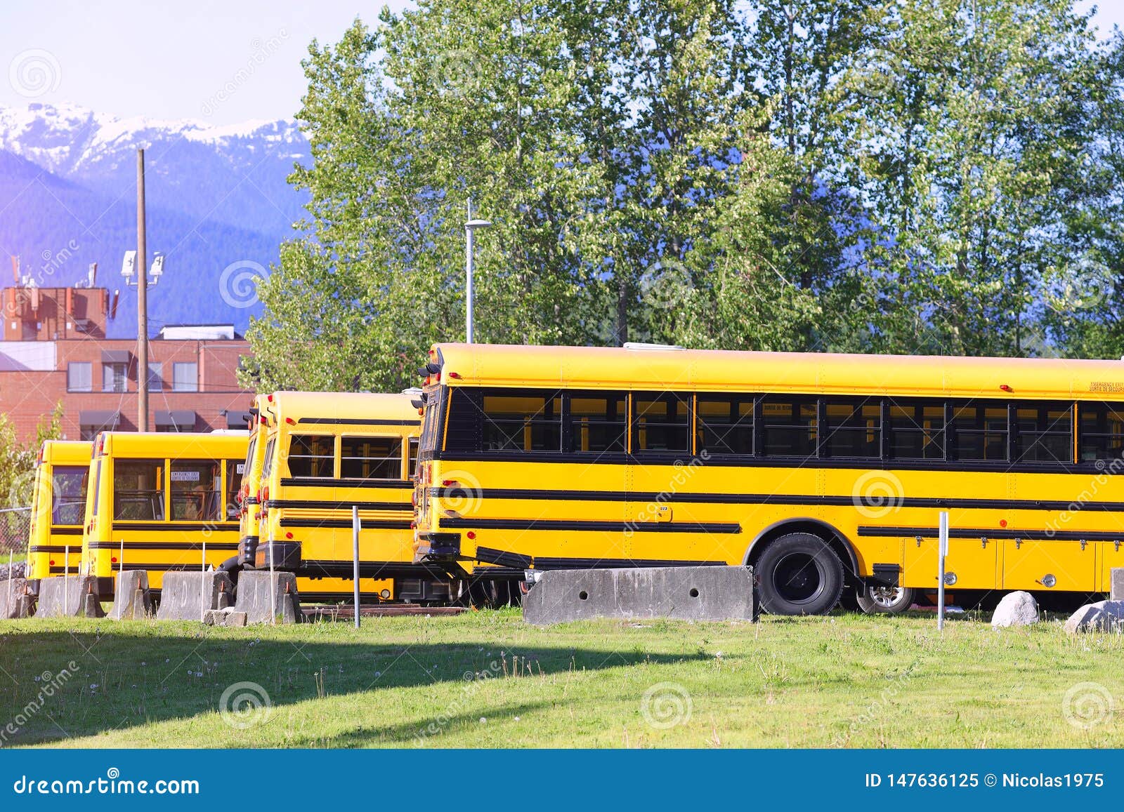 Parking school buses stock image. Image of parking, waiting - 147636125