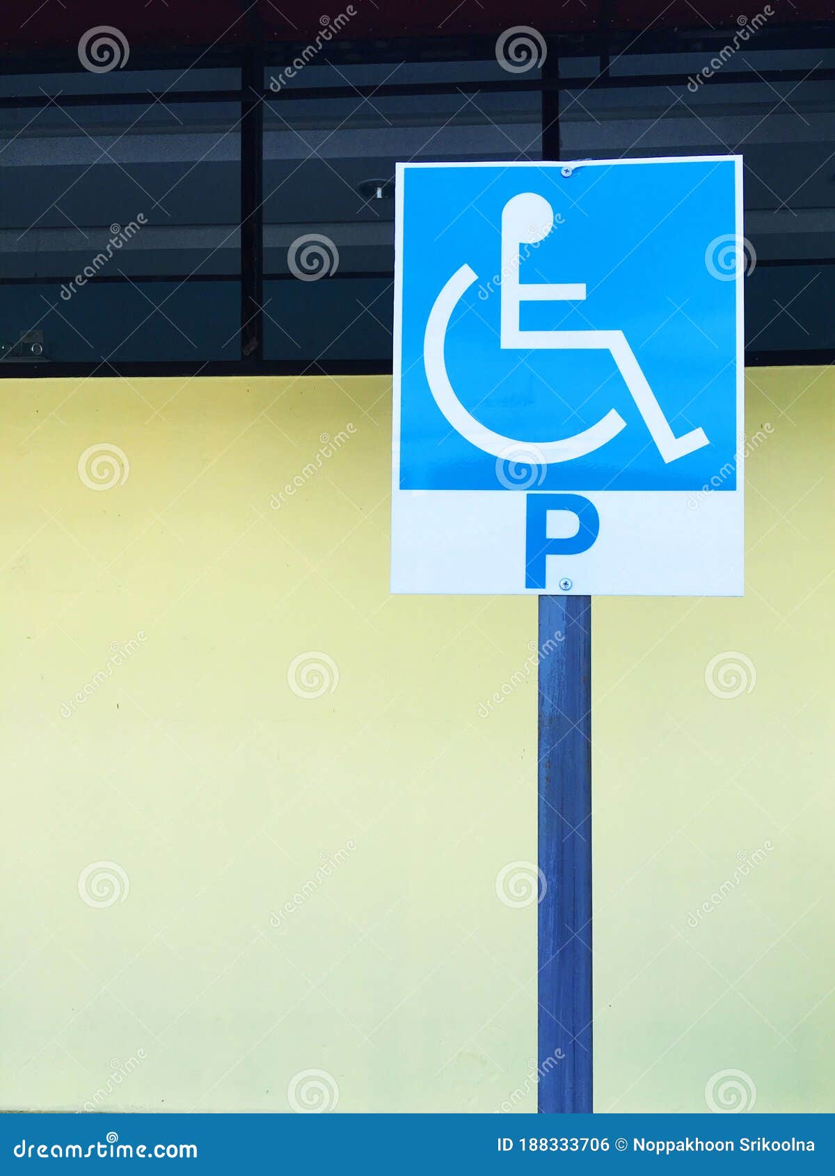 Disability Badge That Has A Physical Or Mental Condition That Restricts ...