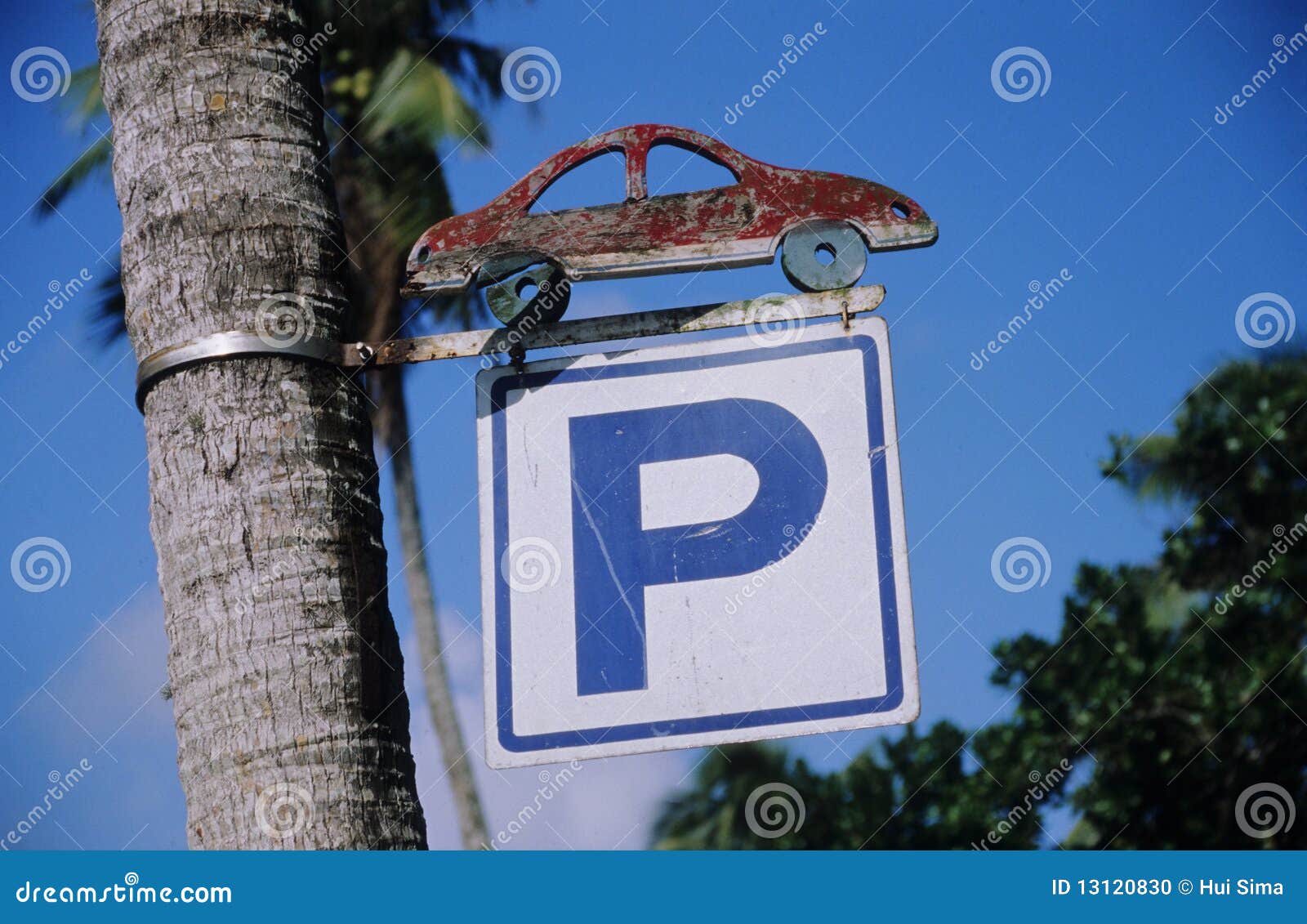 Parking sinage stock photo. Image of area, sign, trunk - 13120830