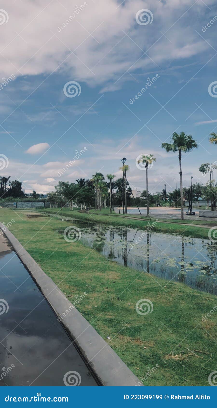 Parks and fields stock image. Image of clear, field - 223099199