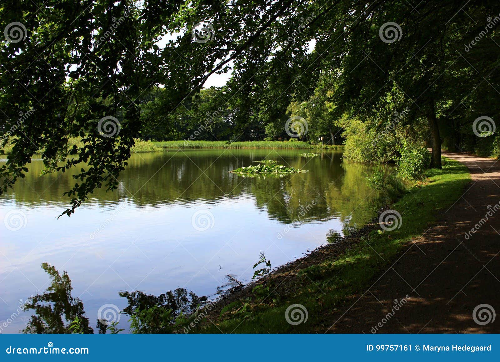Parks and lakes of Denmark stock image. Image of louise - 99757161