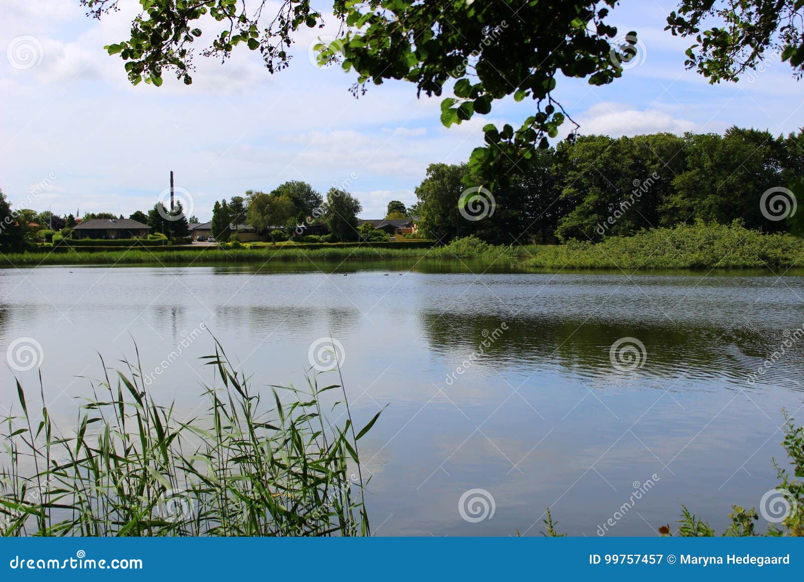 Parks and lakes of Denmark stock image. Image of blue - 99757457