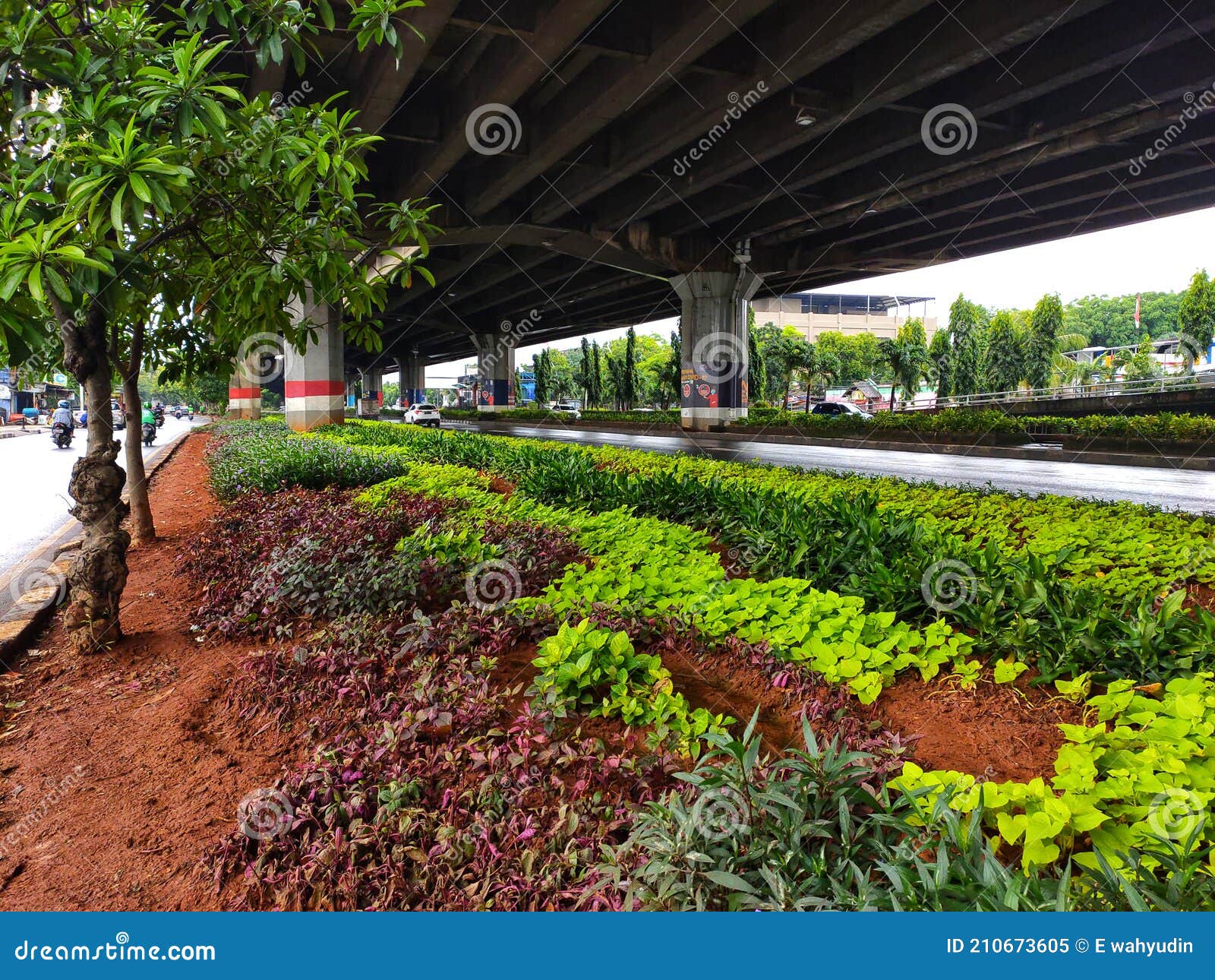 Parks Outdoor Under the Bridge Stock Image - Image of park, bridge ...