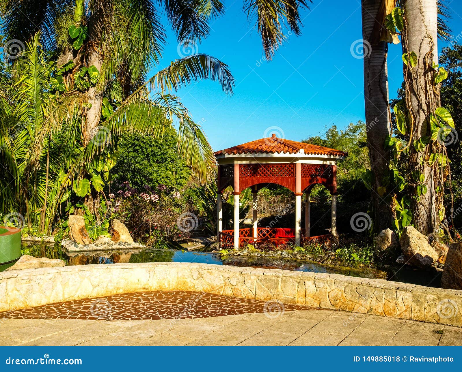 Parks and Recreation - Cuba Stock Photo - Image of palm, sunny: 149885018