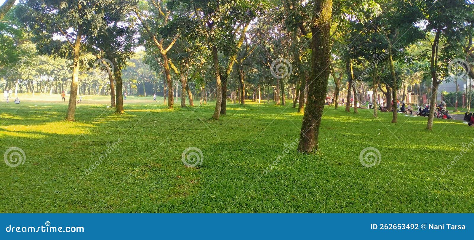 The Parks are Very Green and Neatly Stock Photo - Image of grean, fresh ...