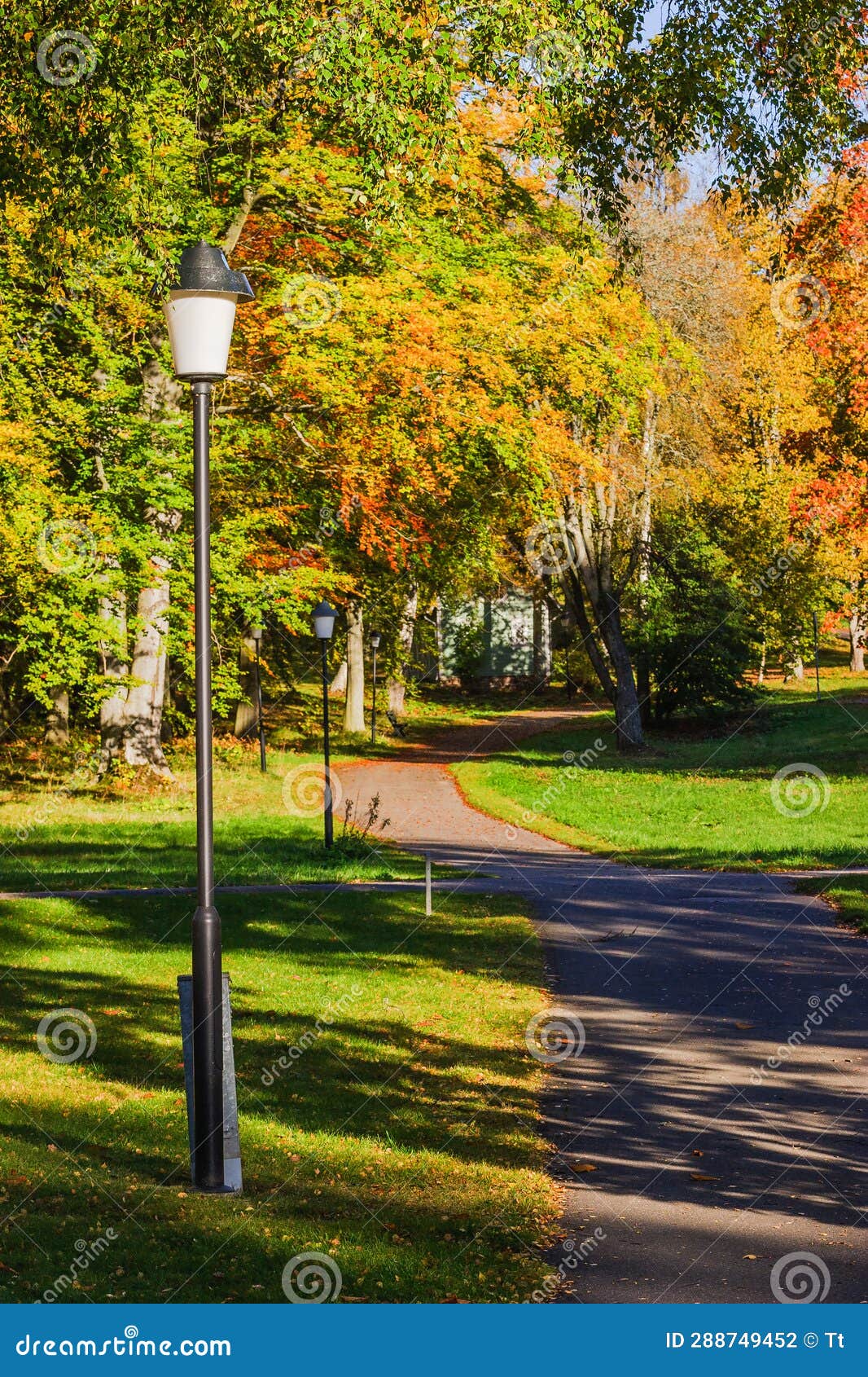 Parkway in a Public Park in the Fall with Street Lamps Stock Photo ...