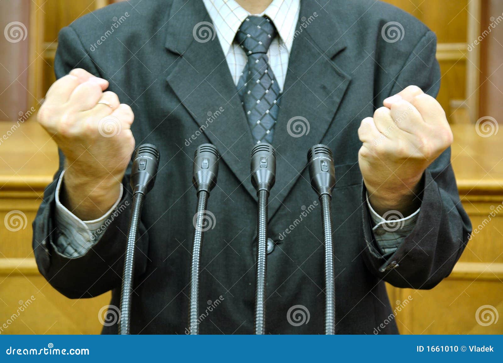 Parliamentary speech stock photo. Image of union, election - 1661010