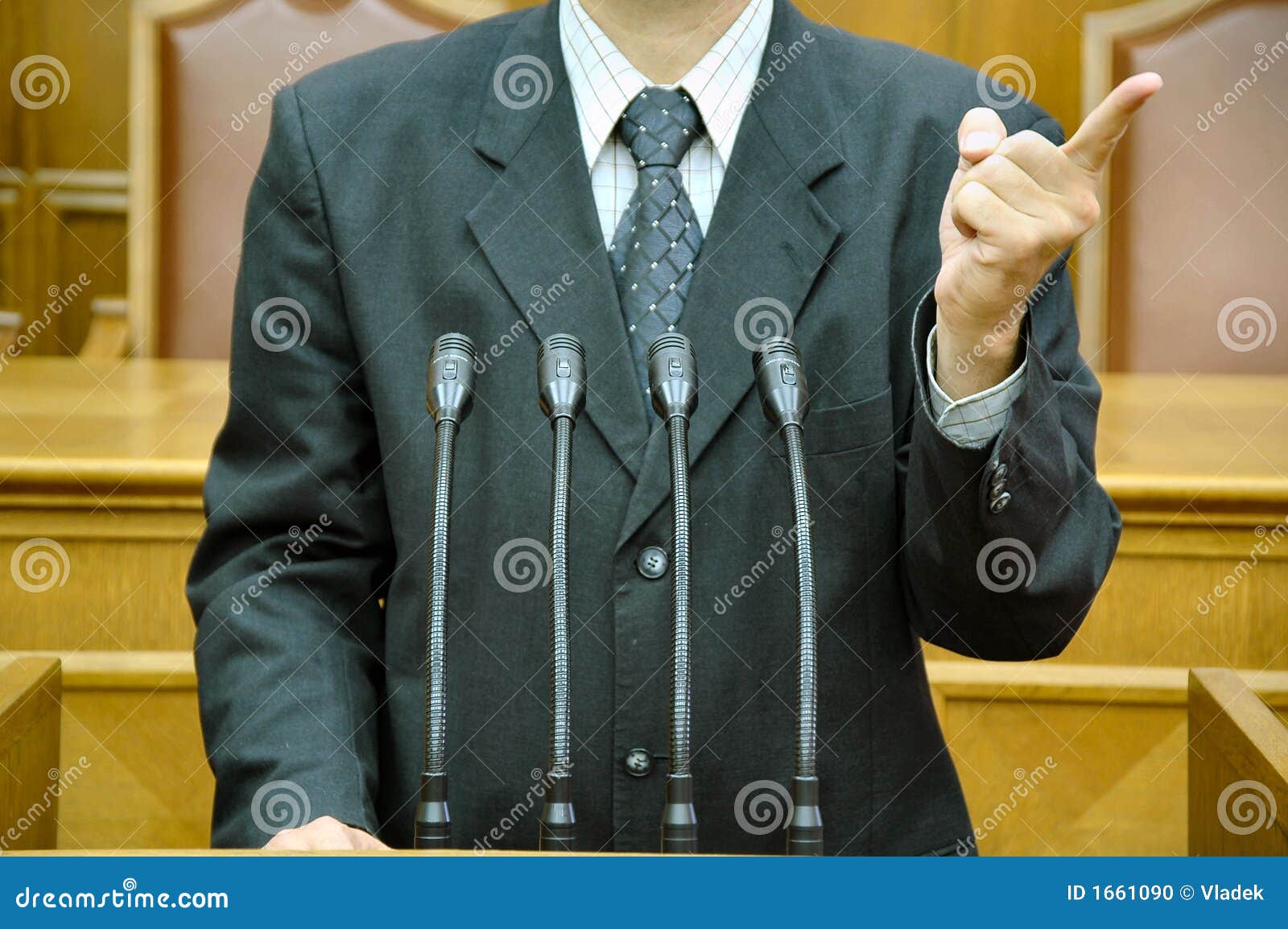 Parliamentary speech stock photo. Image of election, community - 1661090