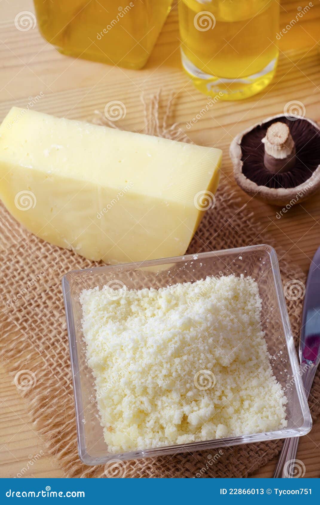 Parmesan stock image. Image of dairy, finely, gourmet - 22866013