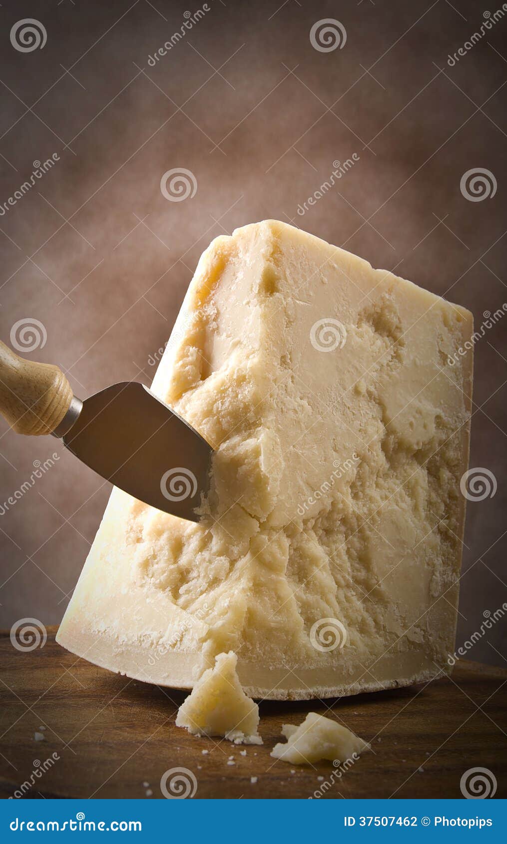 Parmesan cheese stock photo. Image of gourmet, lunch - 37507462