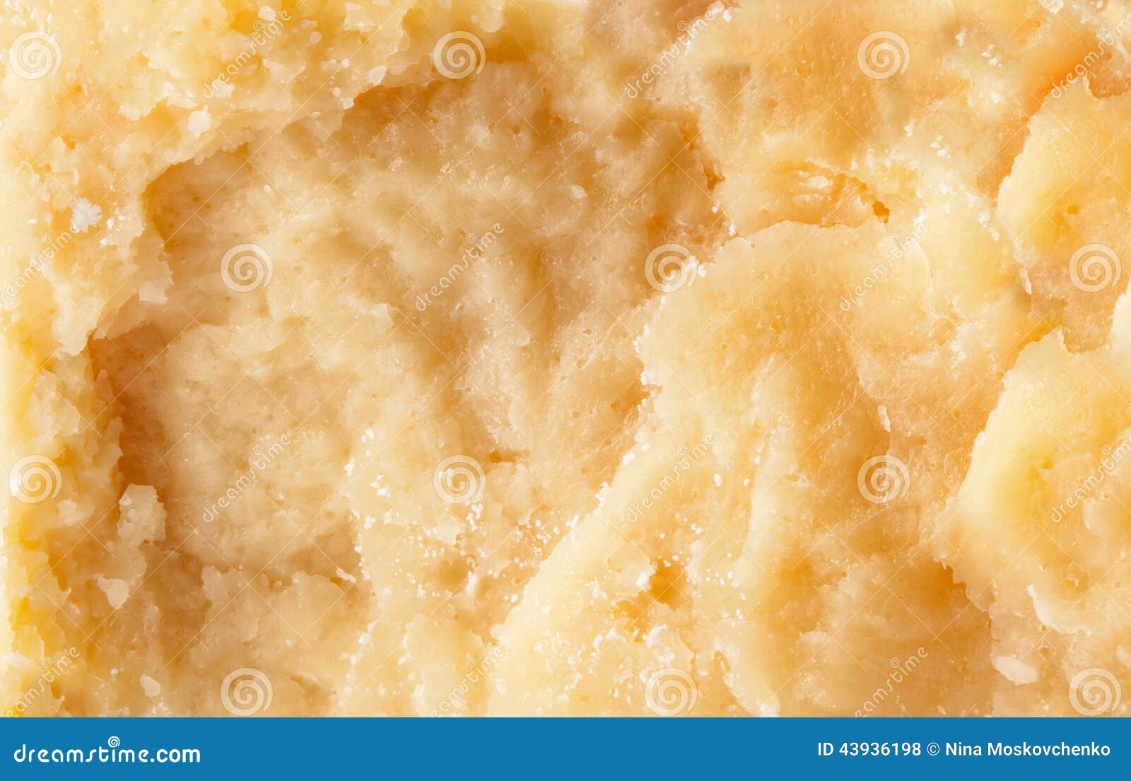 Parmesan cheese stock photo. Image of ripened, white - 43936198