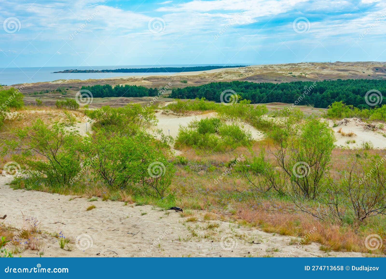Parnidis Dune at Curonian Spit in Lithuania Stock Photo - Image of ...
