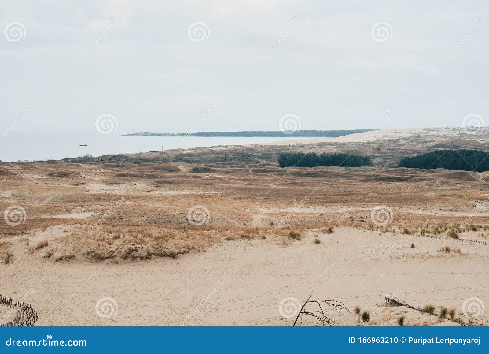 Parnidis Dune in Nida, Lituania Stock Photo - Image of landscape ...