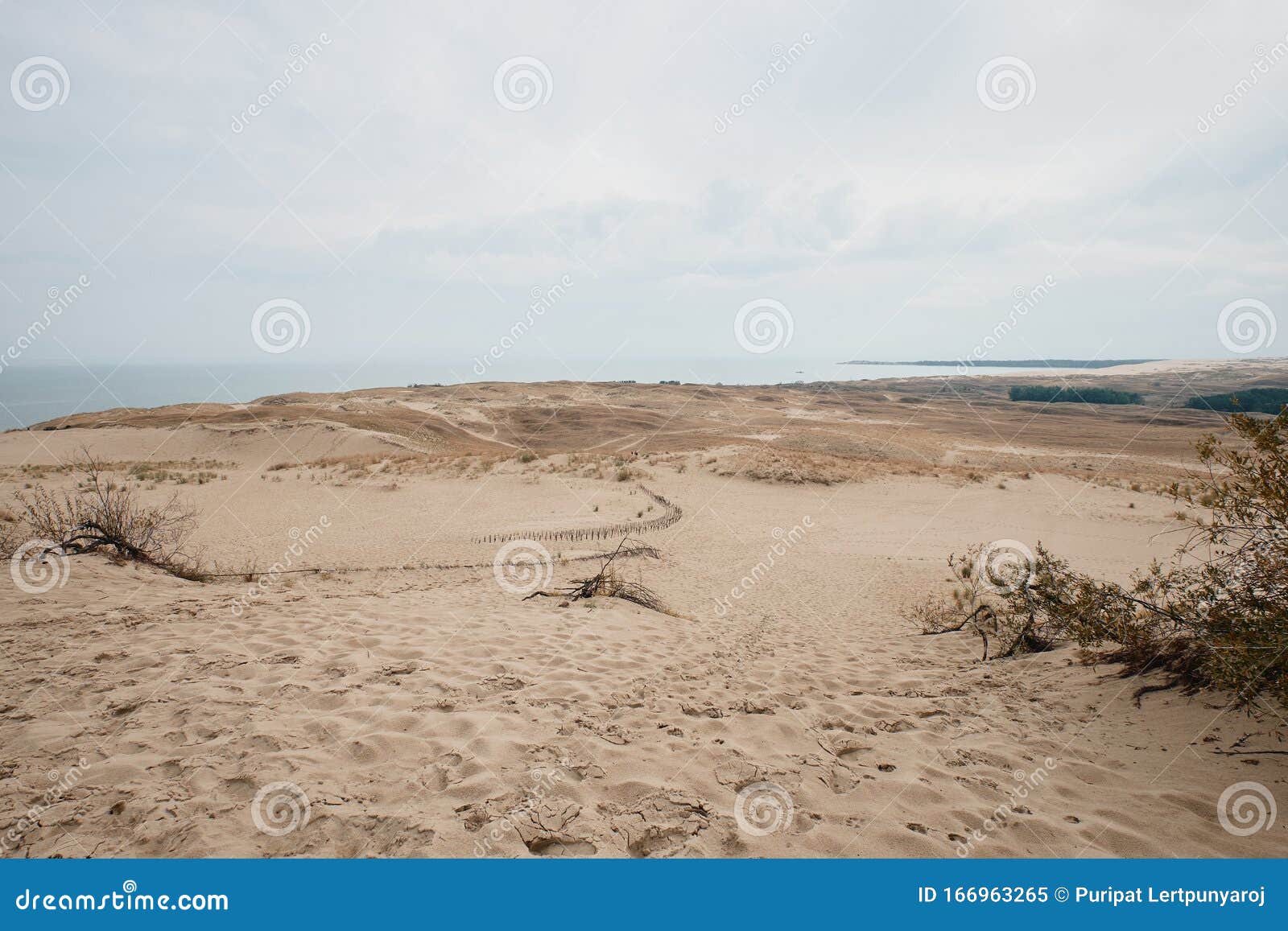 Parnidis Dune in Nida, Lituania Stock Image - Image of kursiu, klaipeda ...