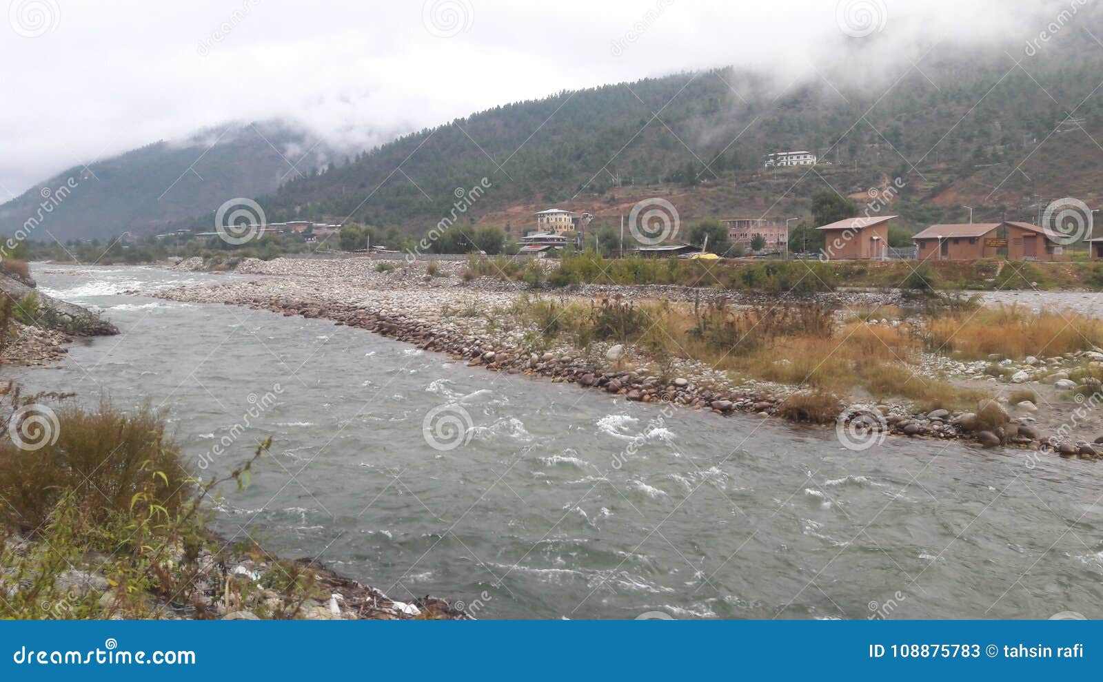Paro river stock image. Image of nice, tree, water, paro - 108875783