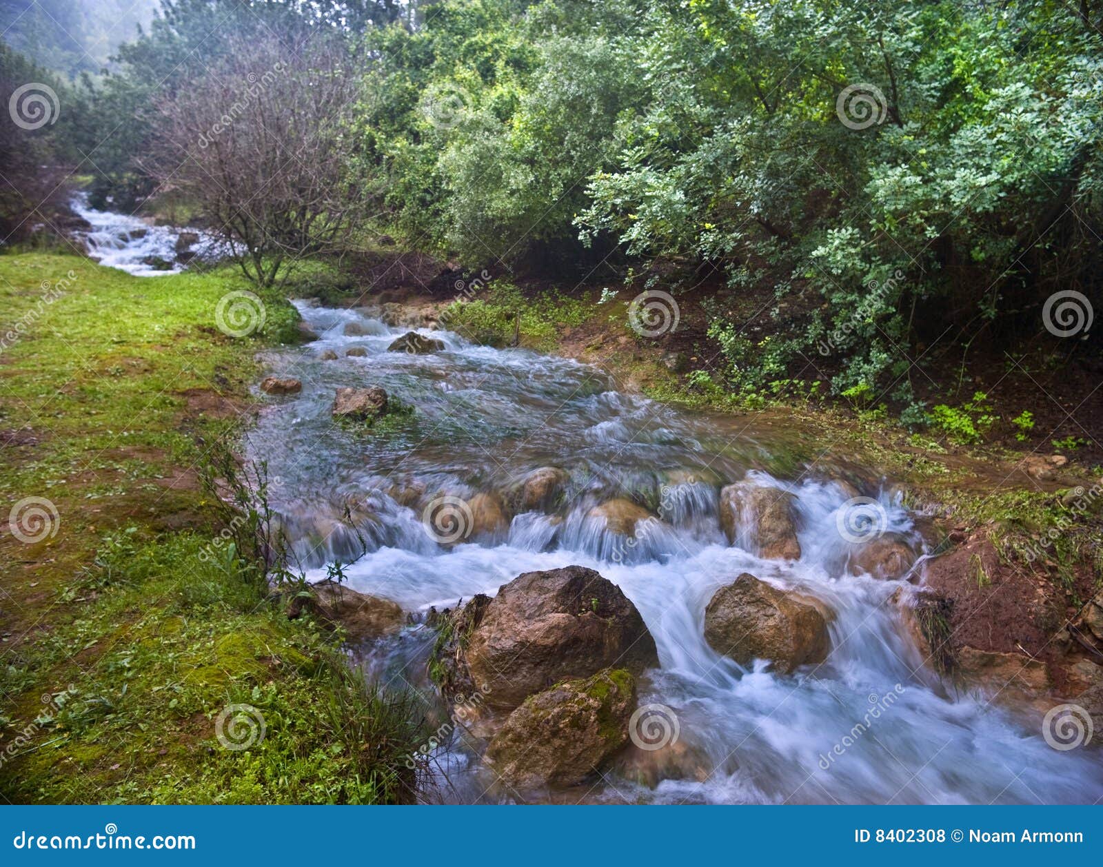 Parod River Israel stock photo. Image of liquid, park - 8402308